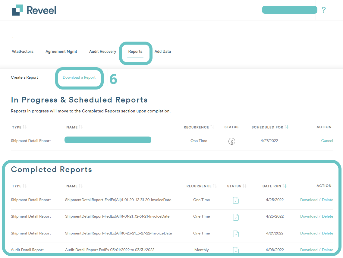 How to create and download reports